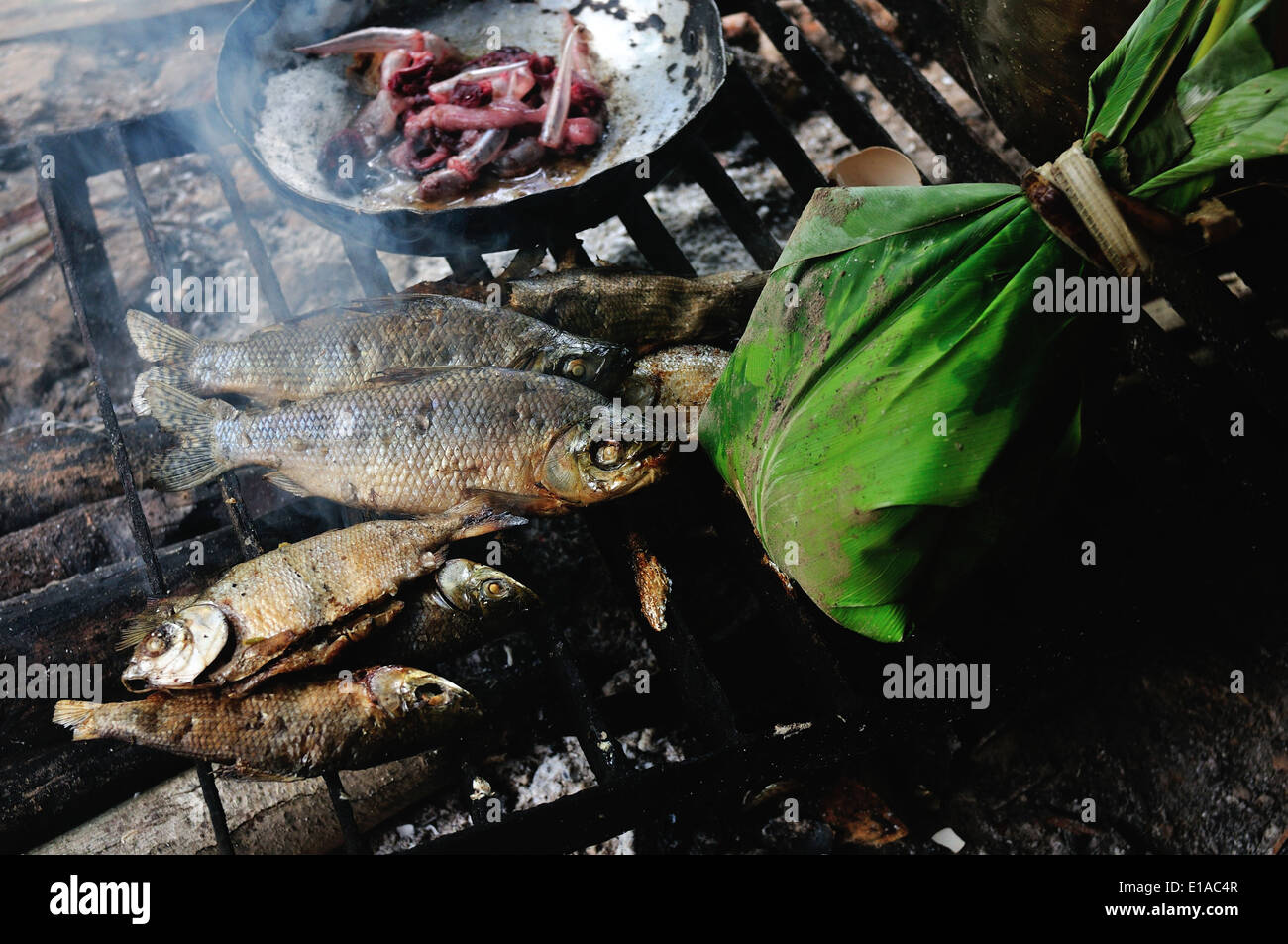 Bocachico fish - Traditional kitchen in Industria - PANGUANA ...