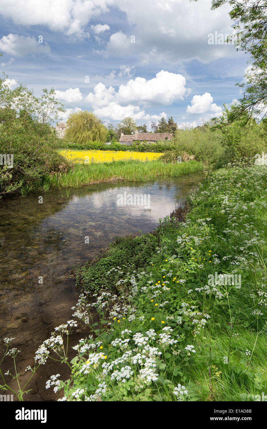The River Leach that flows between the Cotswold villages of Eastleach ...