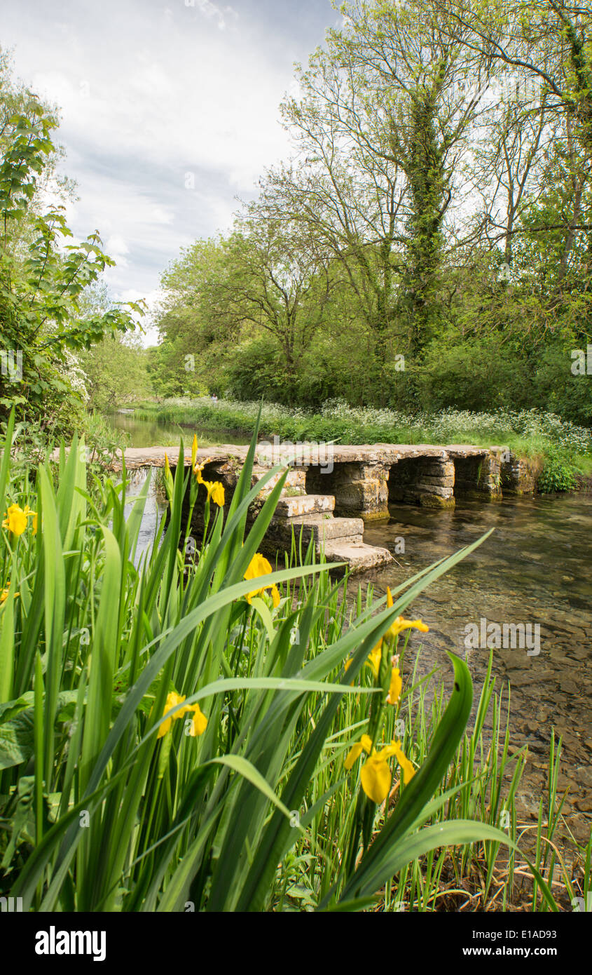 The stone clapper bridge that crosses the river Leach between Eastleach ...
