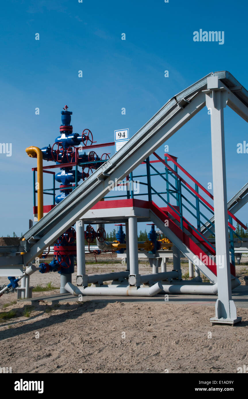 Natural gas exploitation by Severneftegazprom in the Yuzhno-Russkoye ...