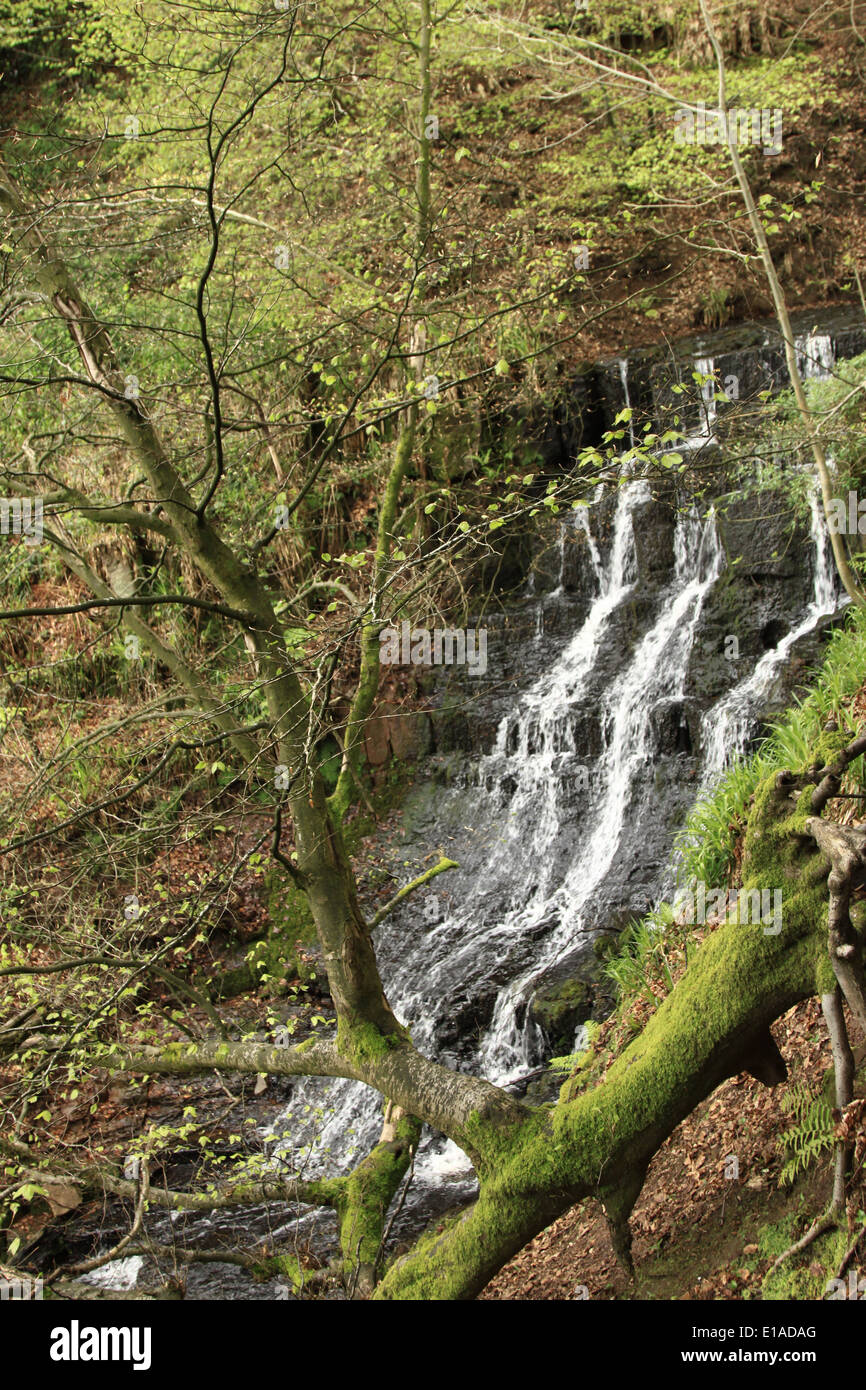 Cleddon falls hi-res stock photography and images - Alamy