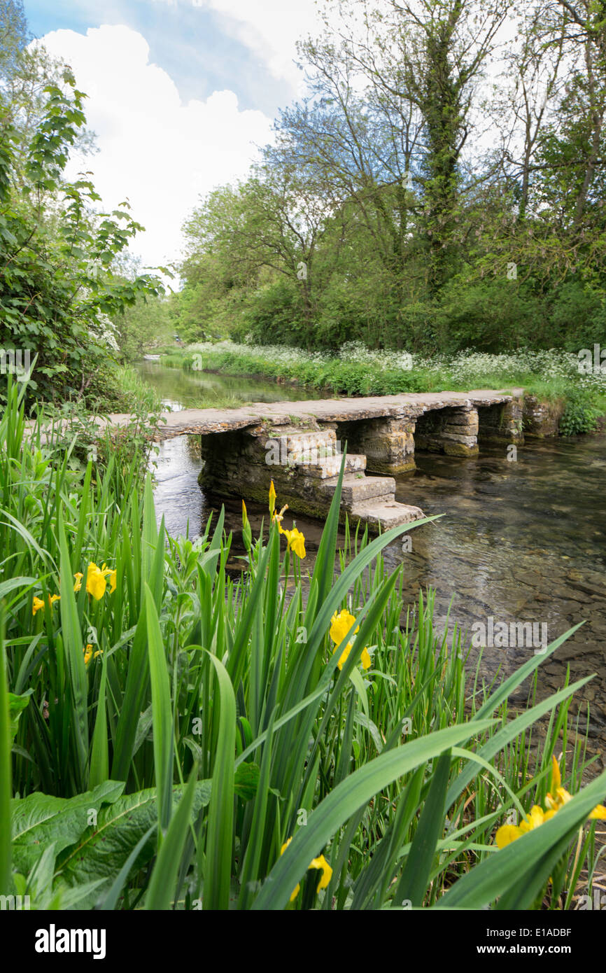The stone clapper bridge that crosses the river Leach between Eastleach ...
