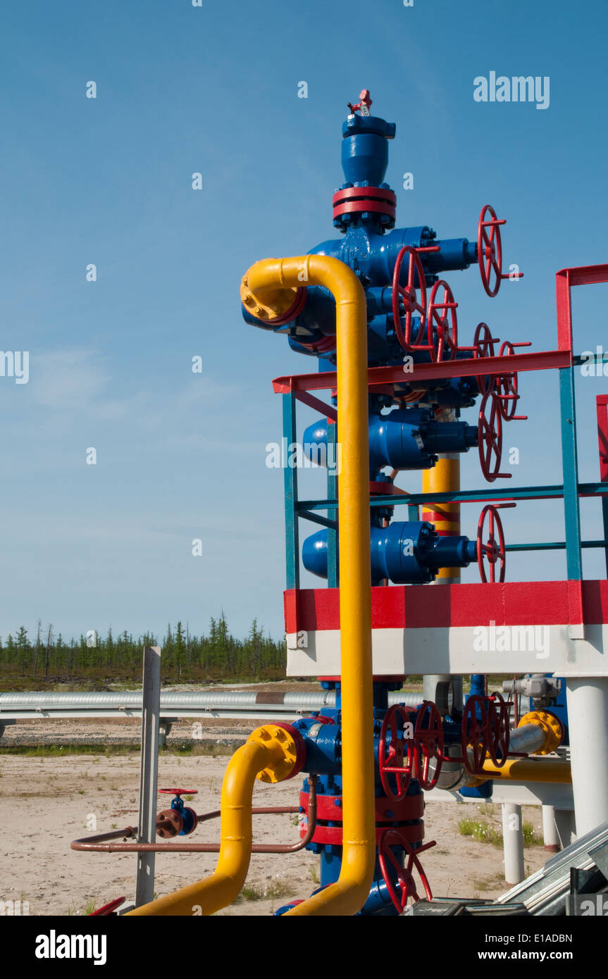Natural gas exploitation by Severneftegazprom in the Yuzhno-Russkoye ...