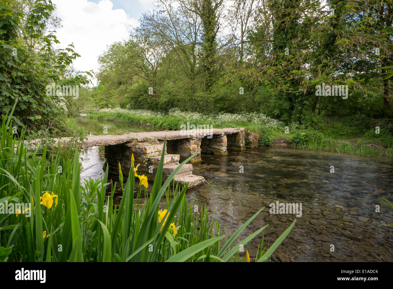 The stone clapper bridge that crosses the river Leach between Eastleach ...