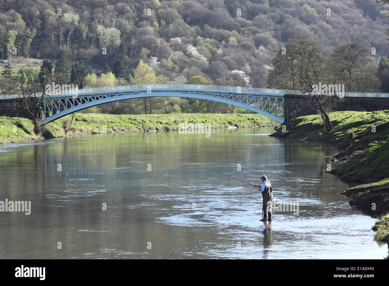 River wye salmon fishing hi-res stock photography and images - Alamy