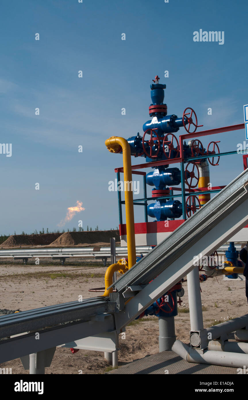 Natural gas exploitation by Severneftegazprom in the Yuzhno-Russkoye ...