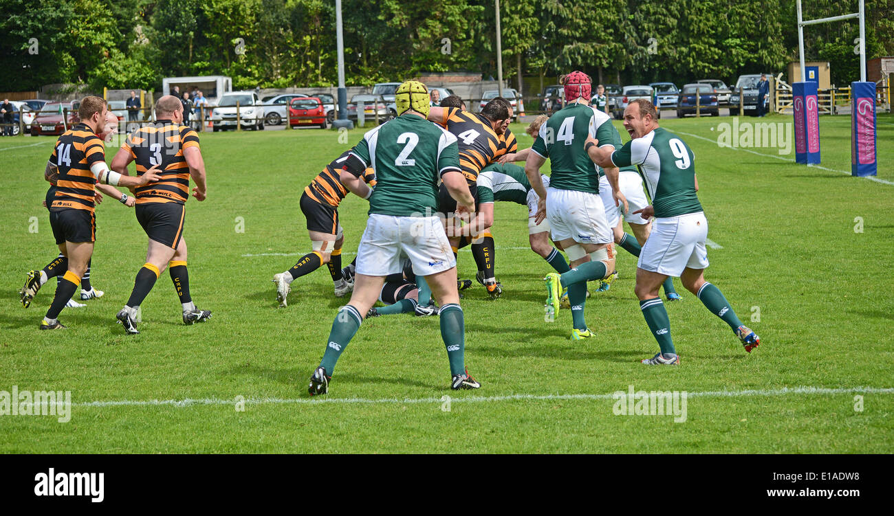 The Cornwall rugby team attacking the try line in a County Championship ...