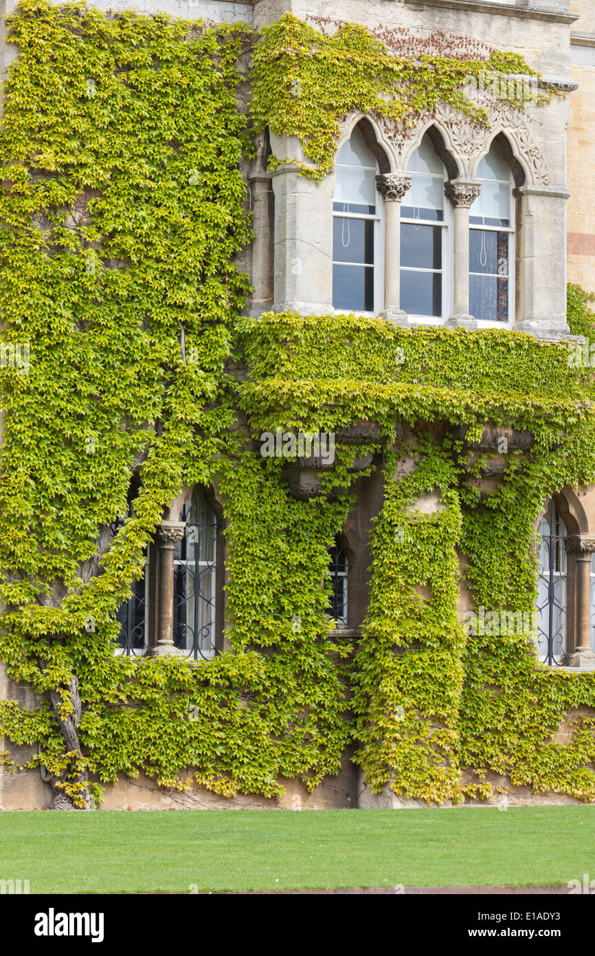 Ivy growing on houses hi-res stock photography and images - Alamy