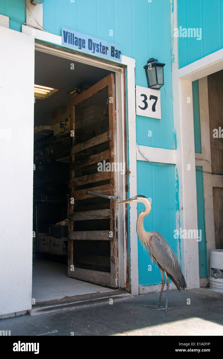 Fish cleaning house hi-res stock photography and images - Alamy