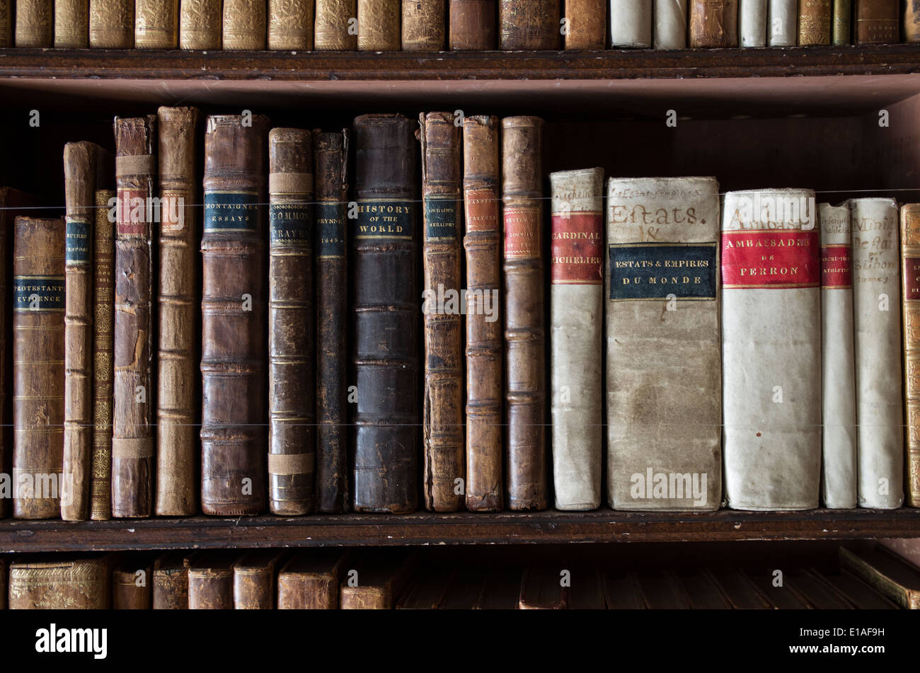 Gold library books old hi-res stock photography and images - Alamy