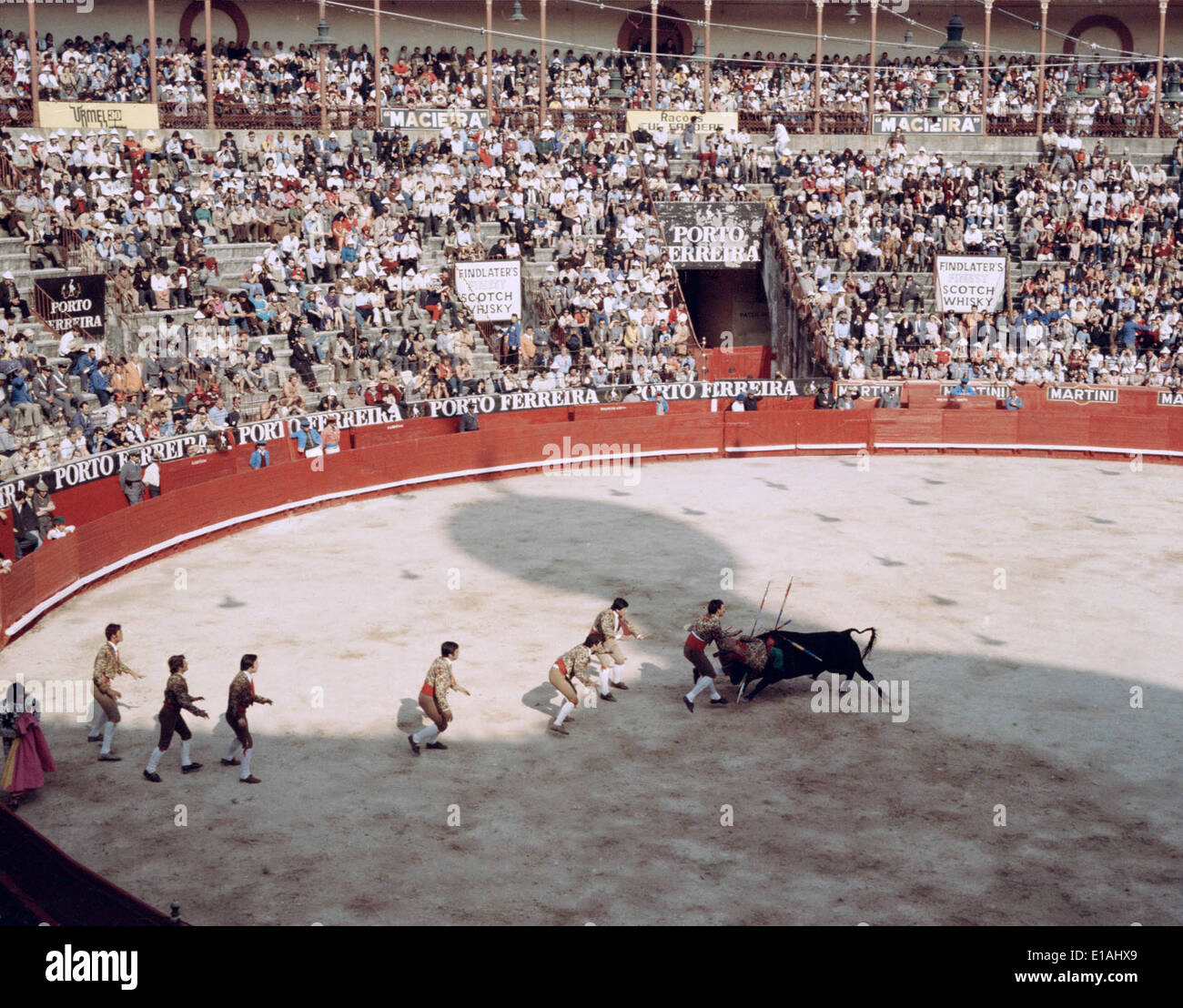 A photograph of a traditional Portuguese bullfight (tourada) in Lisbon ...