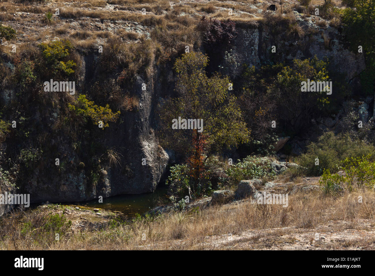 Arroya near the CANADA DE LA VIRGEN pre-Columbian archeological site ...