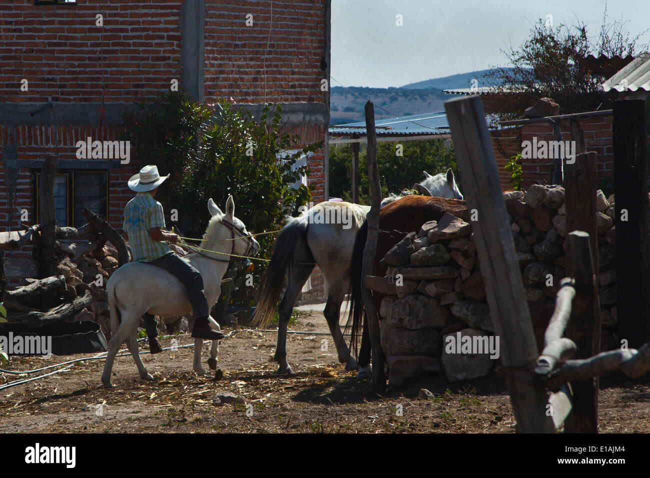 Cowboy ranch mexico hi-res stock photography and images - Alamy