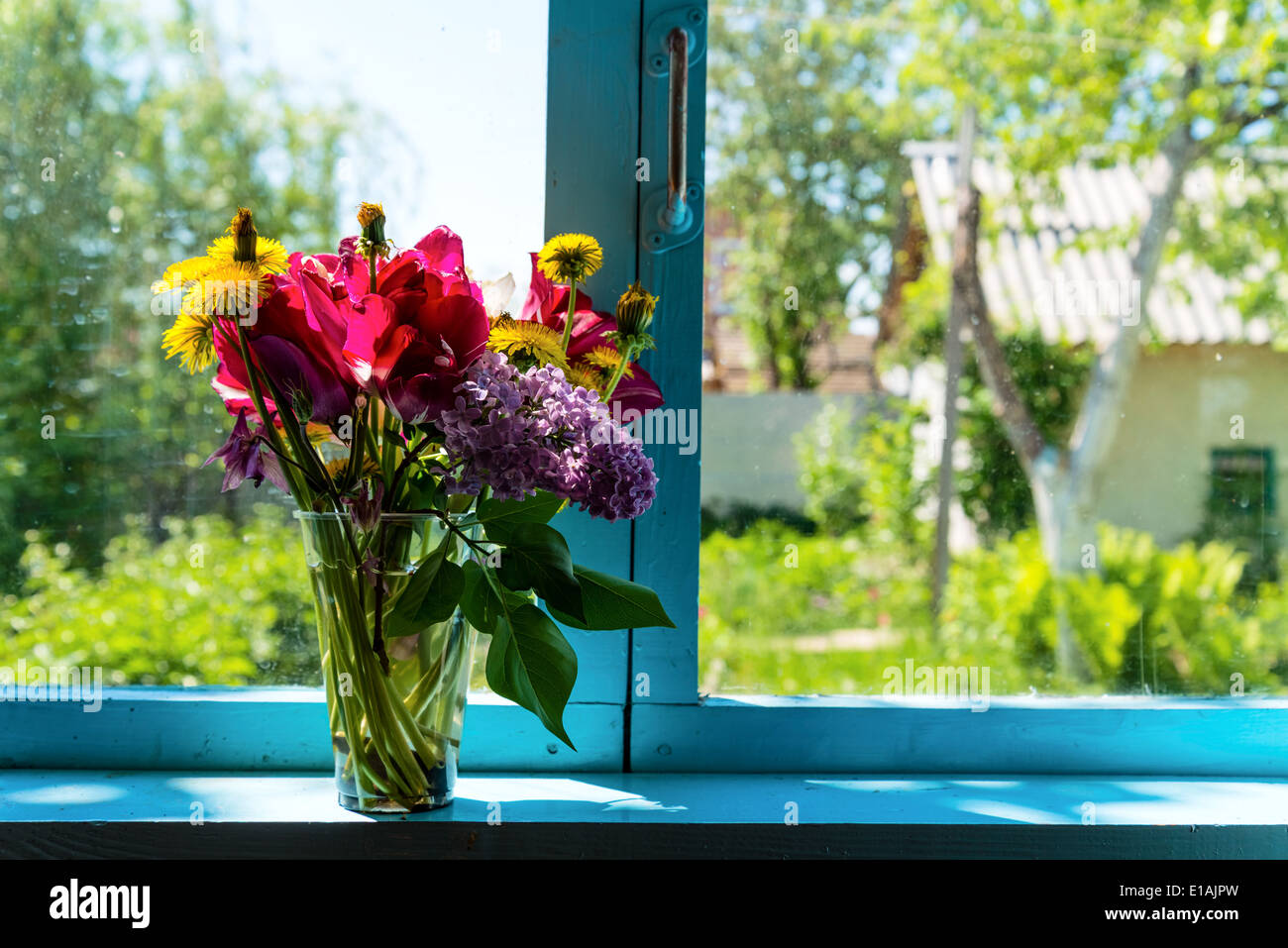 Flowers on the window Stock Photo - Alamy