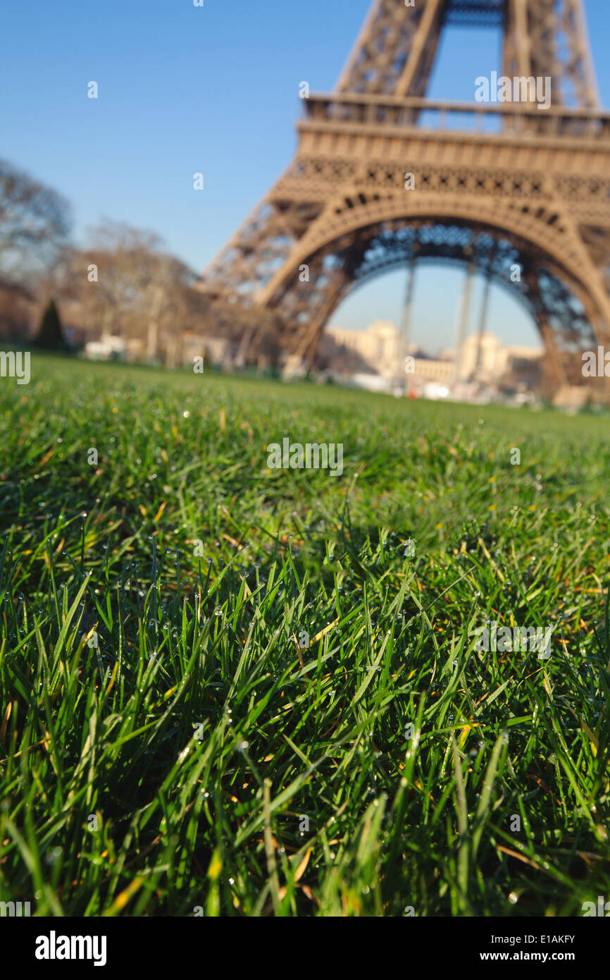 green grass with Eiffel Tower on background, Paris, France Stock Photo ...