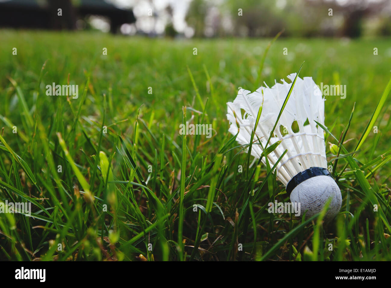 Shuttlecock hi-res stock photography and images - Alamy