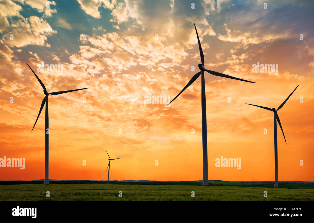 Ecological innovation hi-res stock photography and images - Alamy