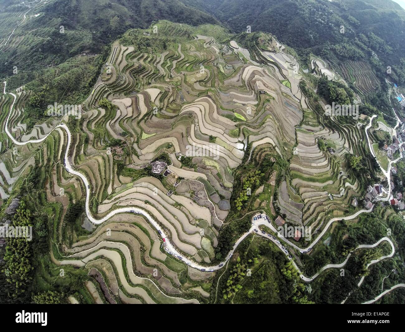 Qingtian hi-res stock photography and images - Alamy