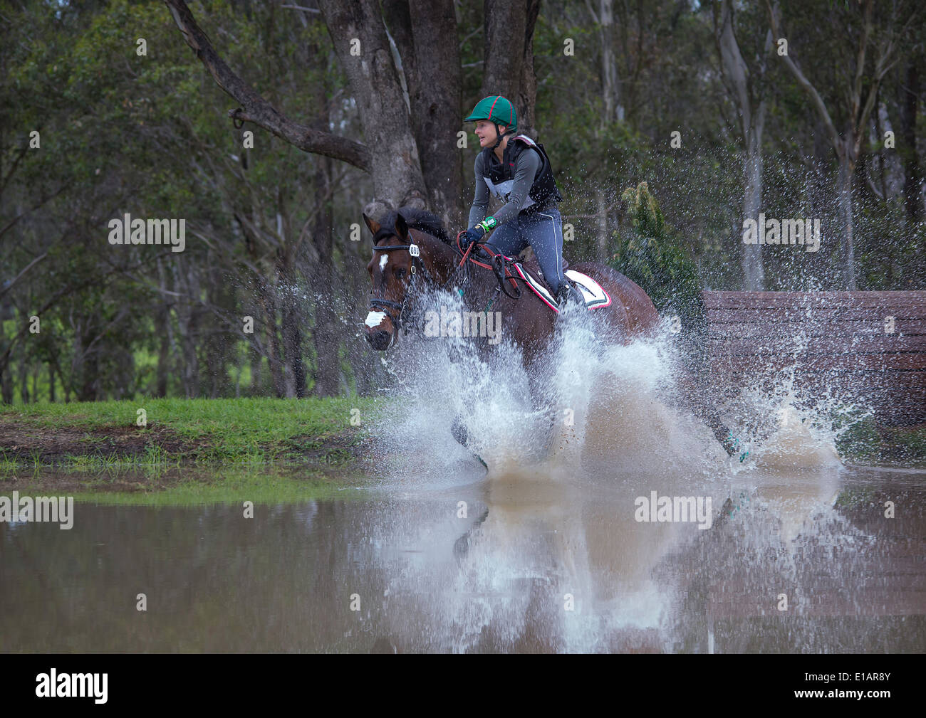 Water jump horse hi-res stock photography and images - Alamy
