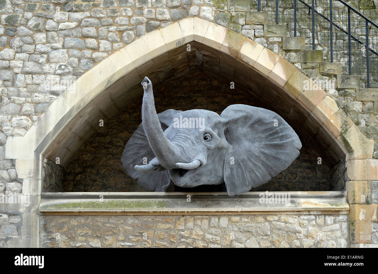 Henry and the elephant hi-res stock photography and images - Alamy