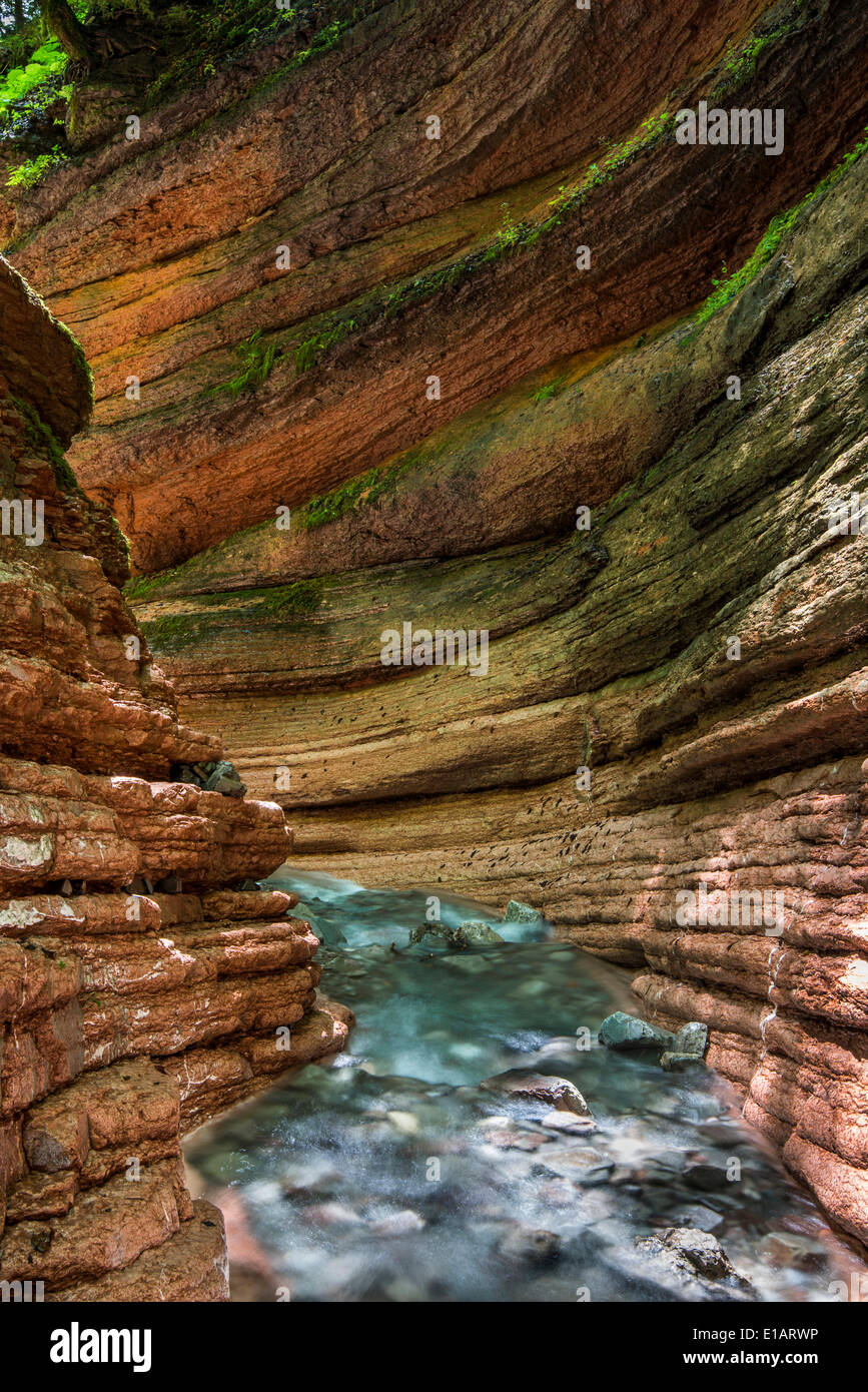 The Taugl river flowing through a gorge, Hallein District, Salzburg ...