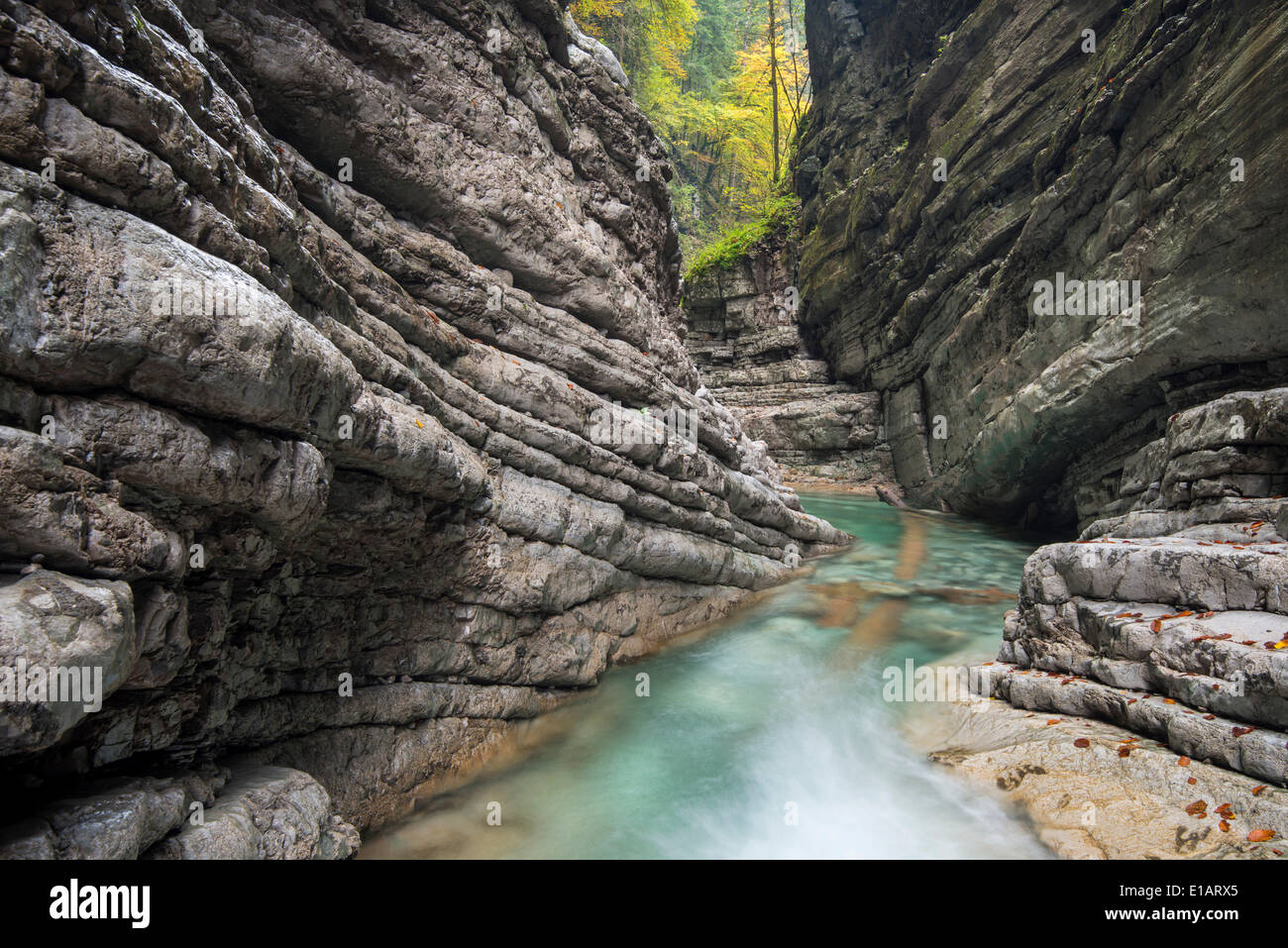 The Taugl river, Taugl gorge, Hallein District, Salzburg, Austria Stock ...