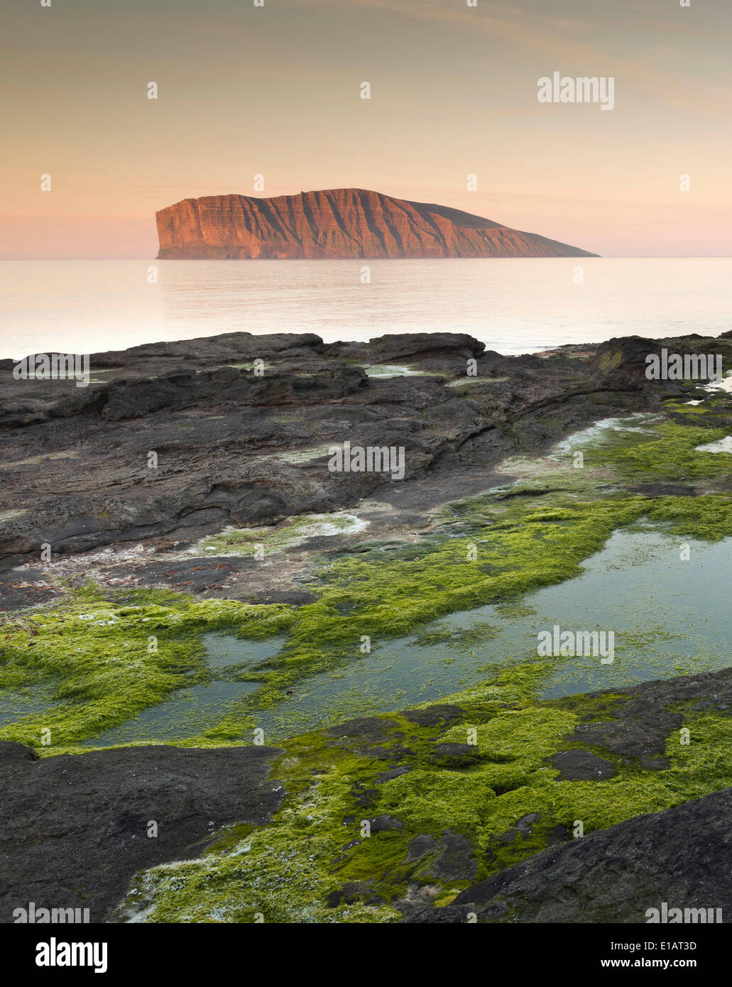 The island Fugloy in the light of the midnight sun, Viðoy, Faroe ...