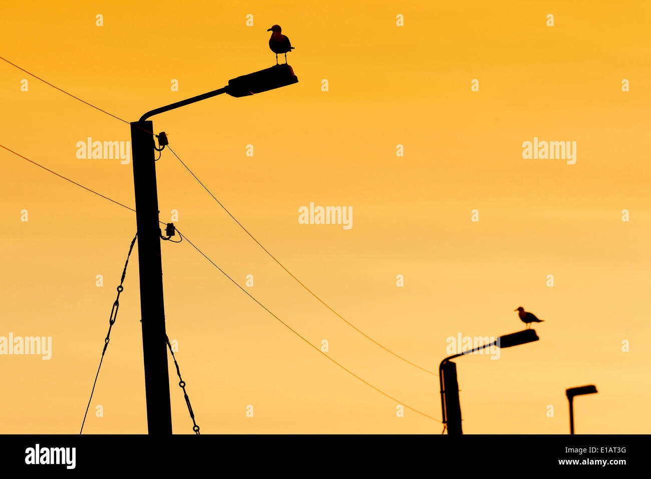 Outside power Cut Out Stock Images & Pictures - Alamy
