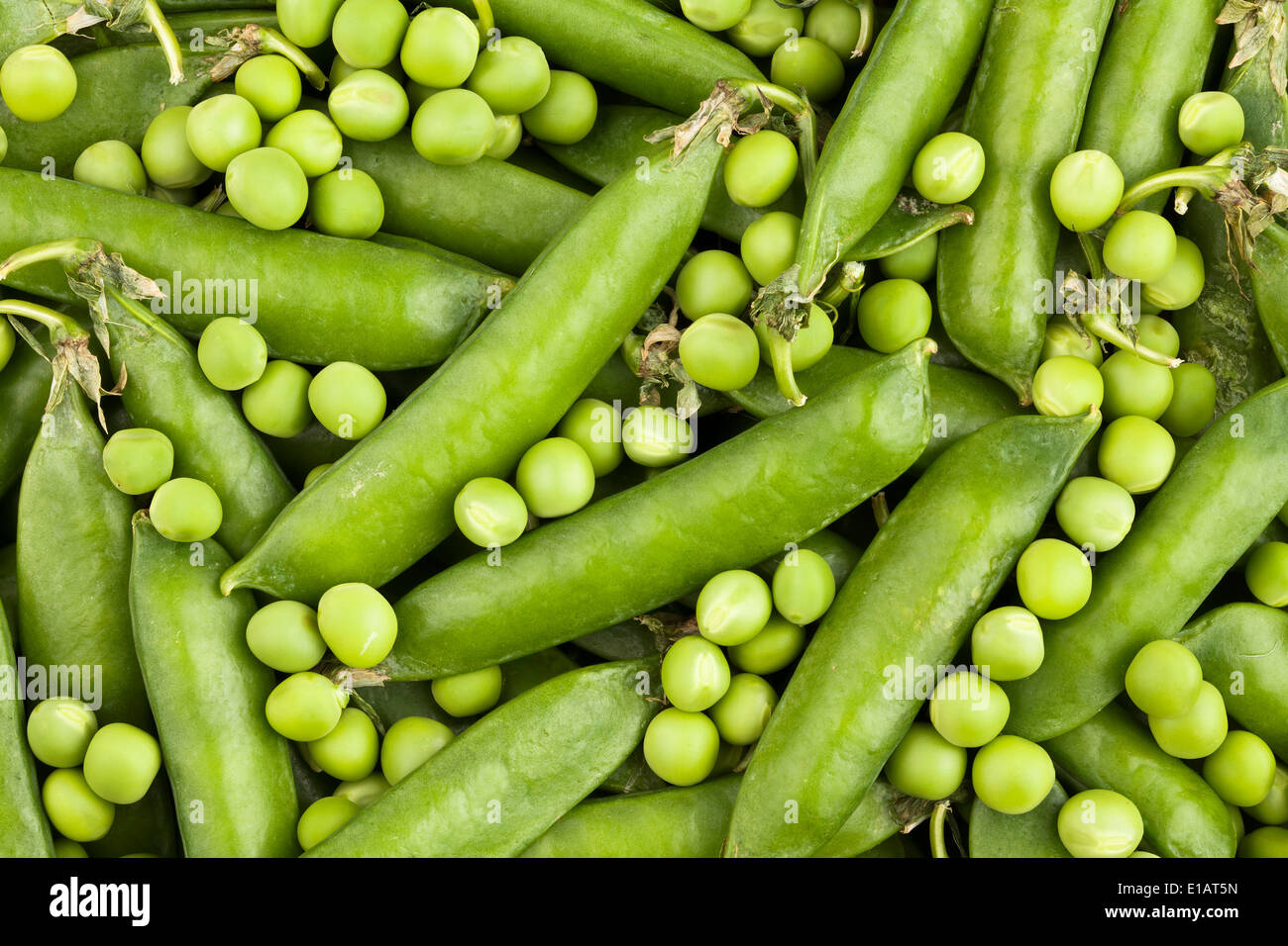 Sweet pea background hi-res stock photography and images - Alamy