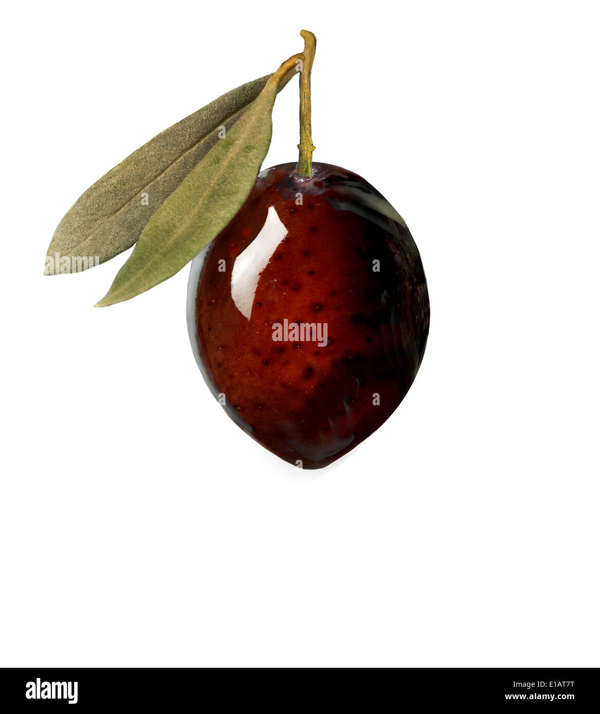 Olive leaves black background Cut Out Stock Images & Pictures - Alamy