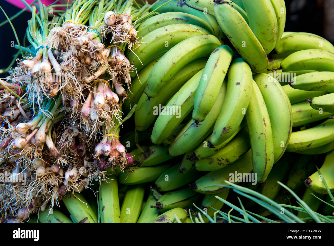 Indian bananas hi-res stock photography and images - Alamy