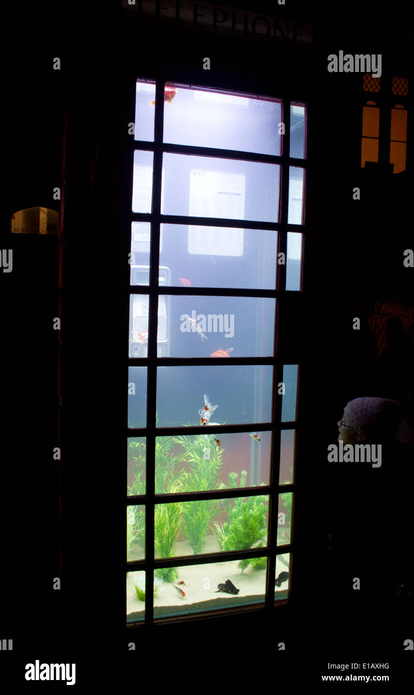 Phone box fish tank lumiere hi-res stock photography and images - Alamy