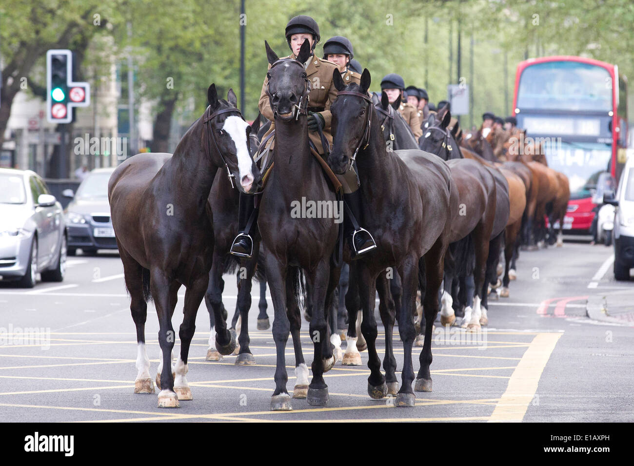 UK, London : Horses canter along the busy Euston Road in London Stock ...
