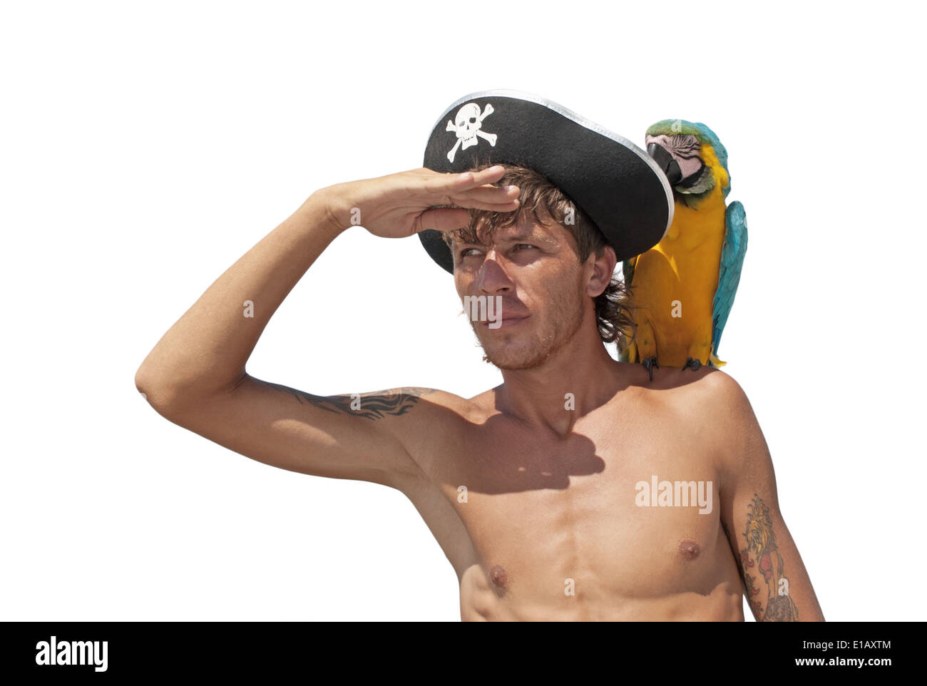 Pirate with a parrot on his shoulder looking into the distance Stock ...