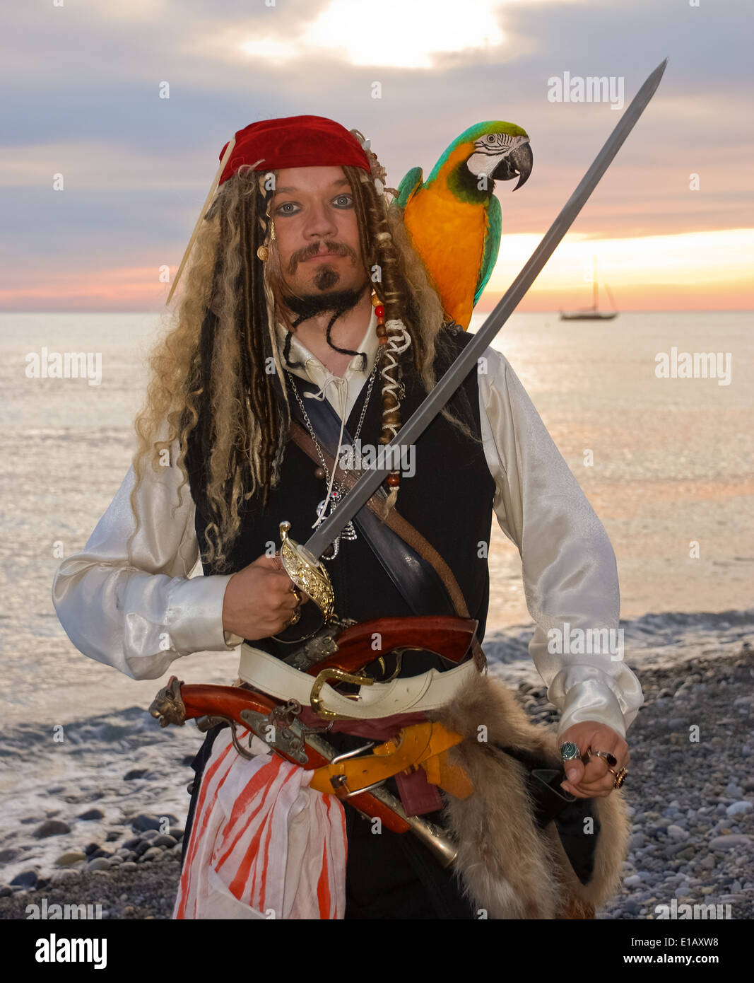 Pirate with a parrot hi-res stock photography and images - Alamy