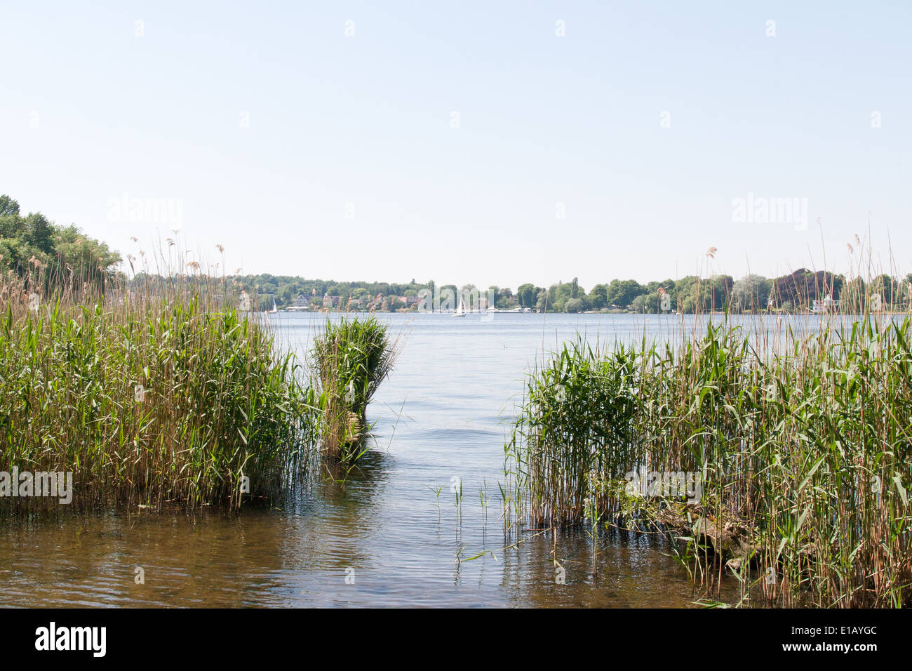 The river Havel, Berlin, Germany along the Havelchaussee Stock Photo ...