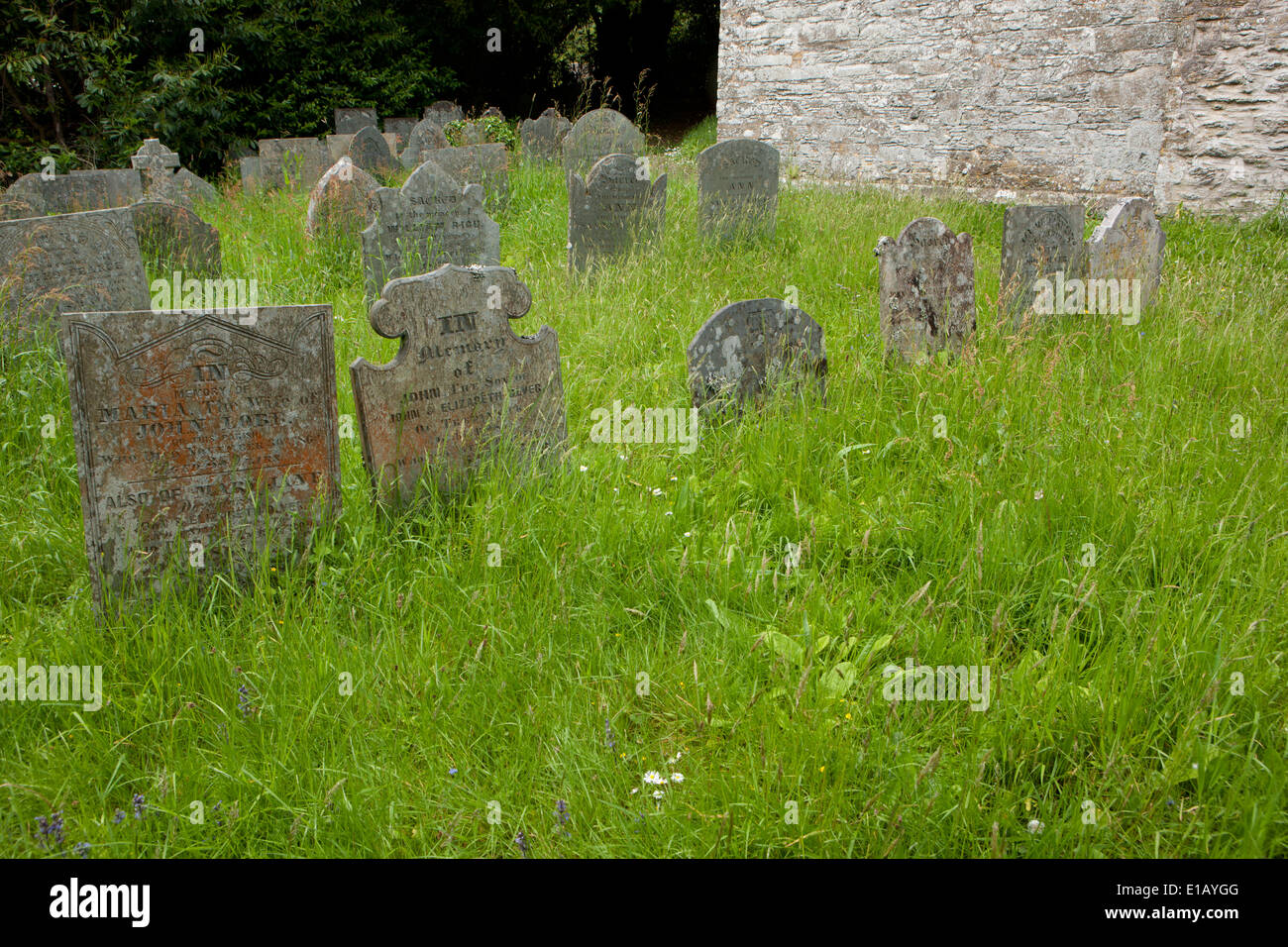 St Wenna's Church at Morval, near Looe in Cornwall, Saint Wenna was a ...