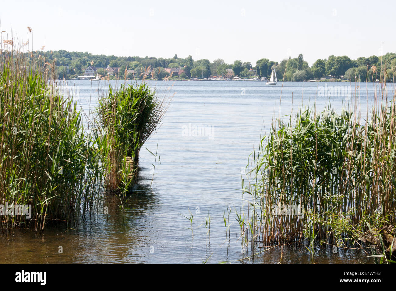 The river Havel, Berlin, Germany along the Havelchaussee Stock Photo ...