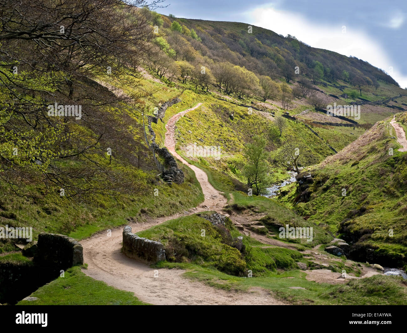 Bridleway near Three Shires Bridge in the Staffordshire Moorlands, part ...