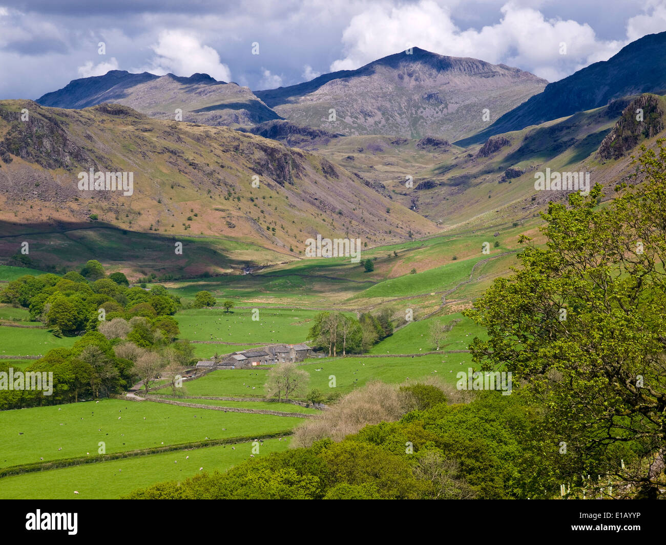 Bowfell at the head of Eskdale, with Brotherikeld farm in the valley ...