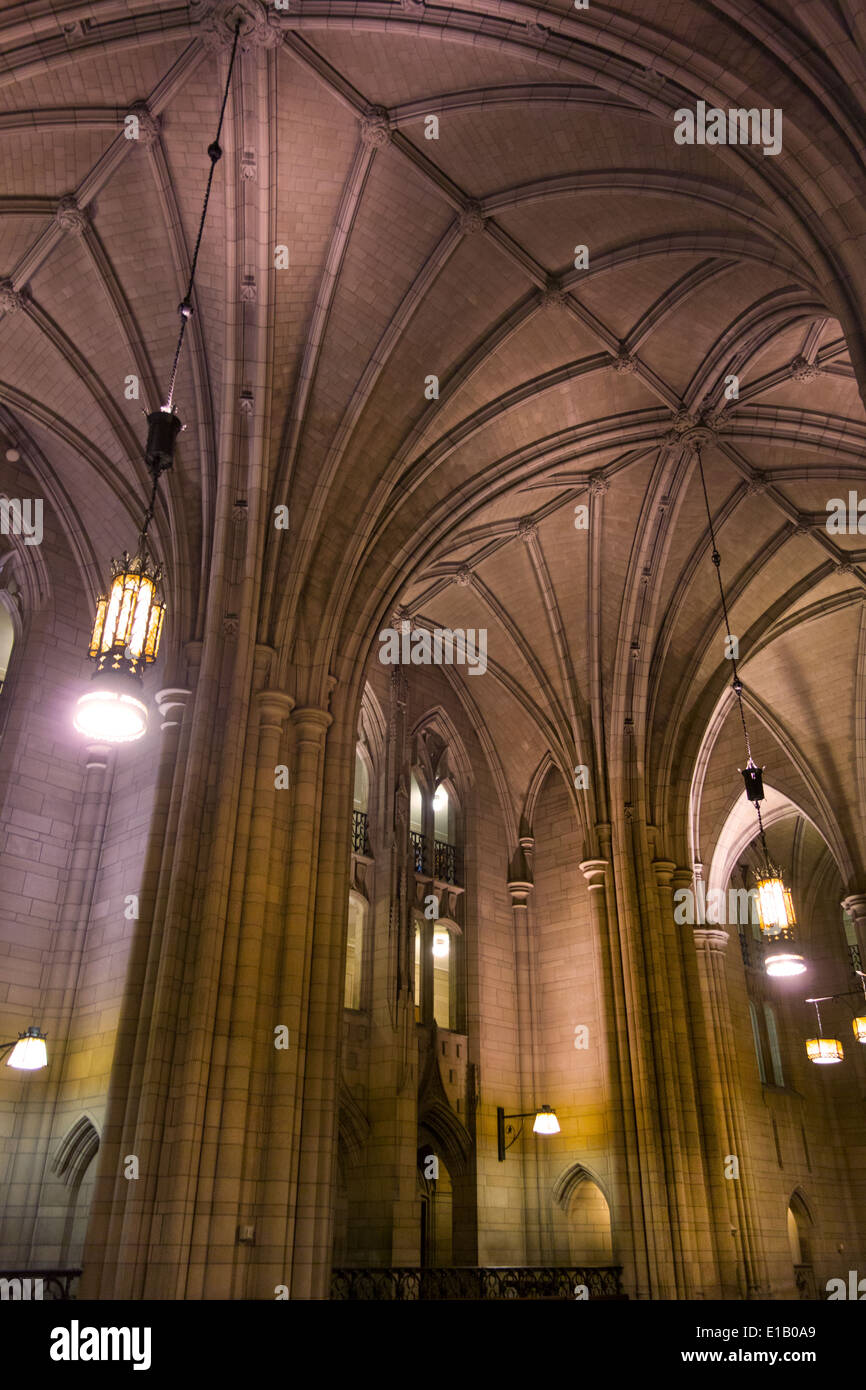 University of pittsburgh campus hi-res stock photography and images - Alamy