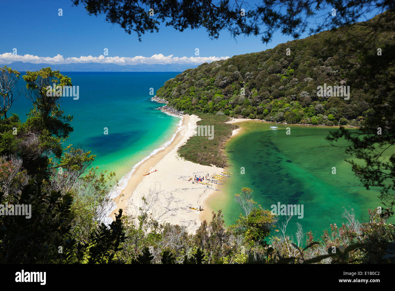 Nelson coast trail new zealand hi-res stock photography and images - Alamy