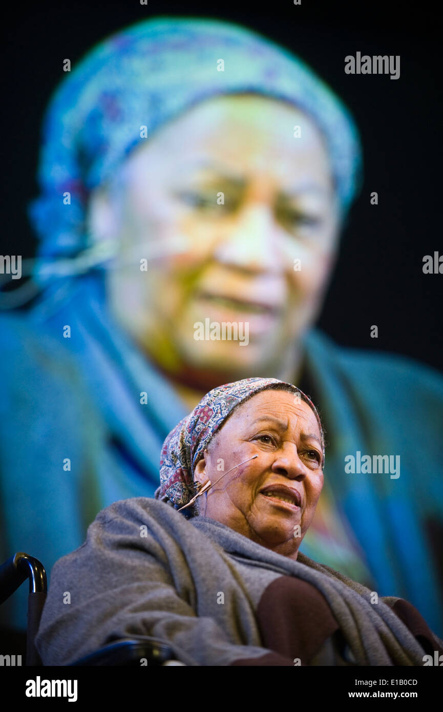 Jackie Morrison's Instagram, Twitter & Facebook on IDCrawl