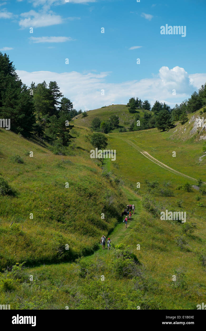 Cathars hi-res stock photography and images - Alamy