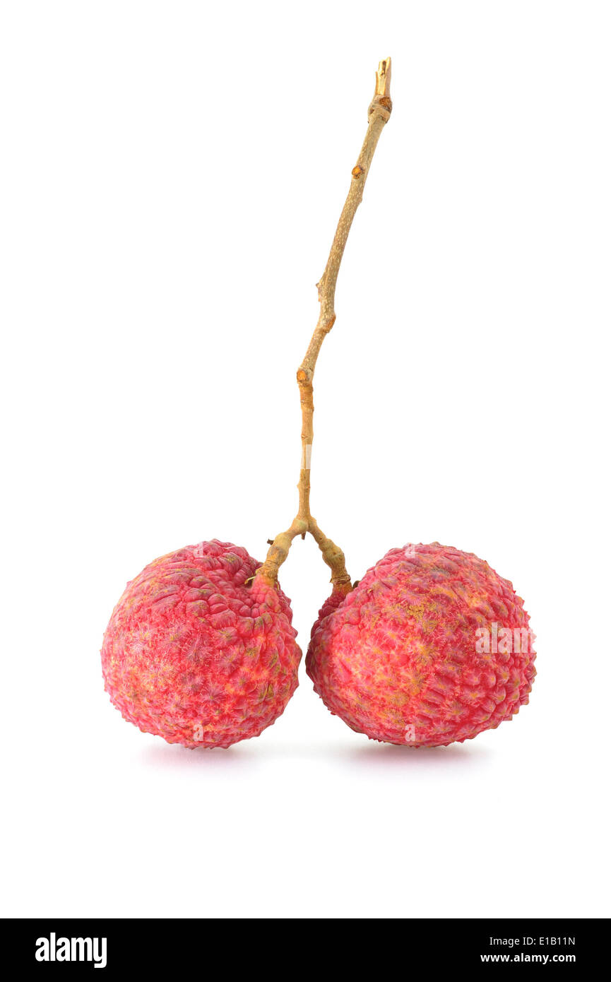 Lychee plant hi-res stock photography and images - Alamy