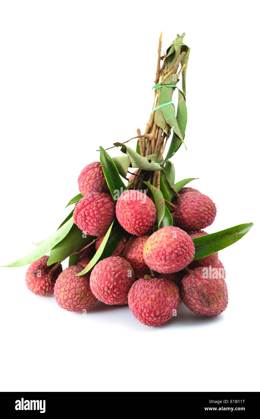 Lychee plant hi-res stock photography and images - Alamy