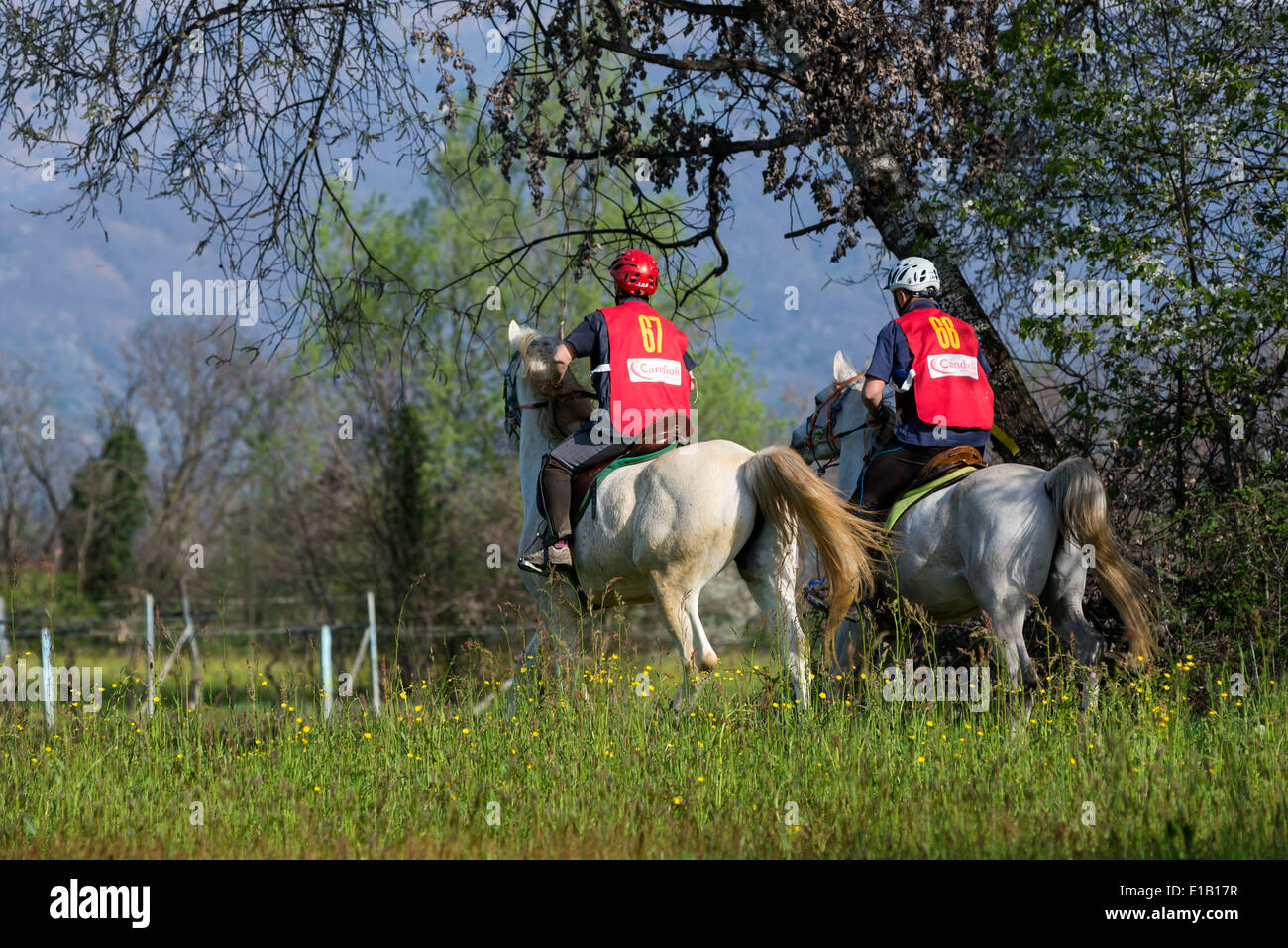 Endurance riders during competition Stock Photo - Alamy