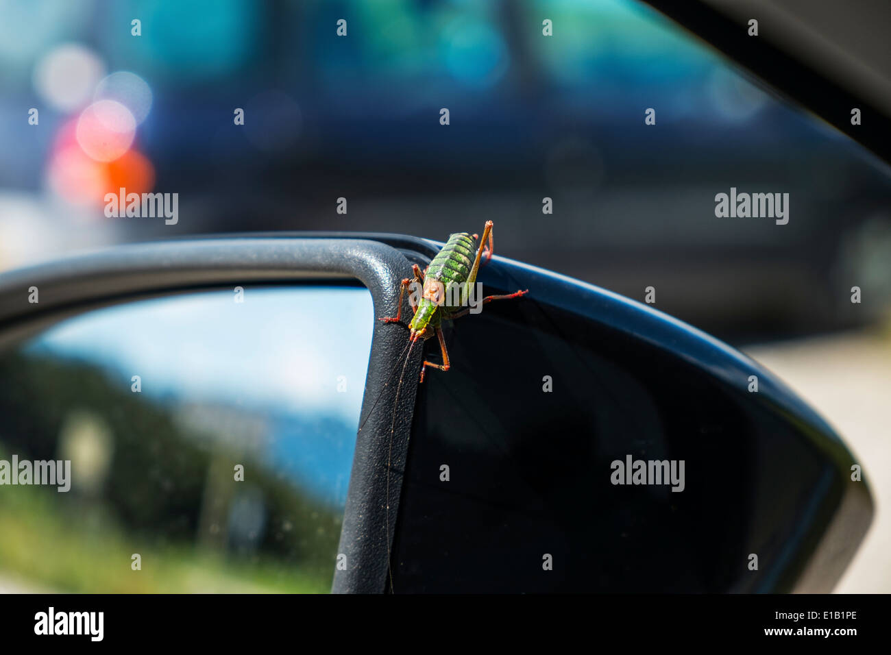 Bug car hi-res stock photography and images - Alamy