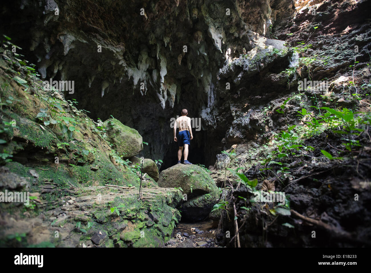 Man exploring huge limestone cave deep in the untouched rain forest of ...