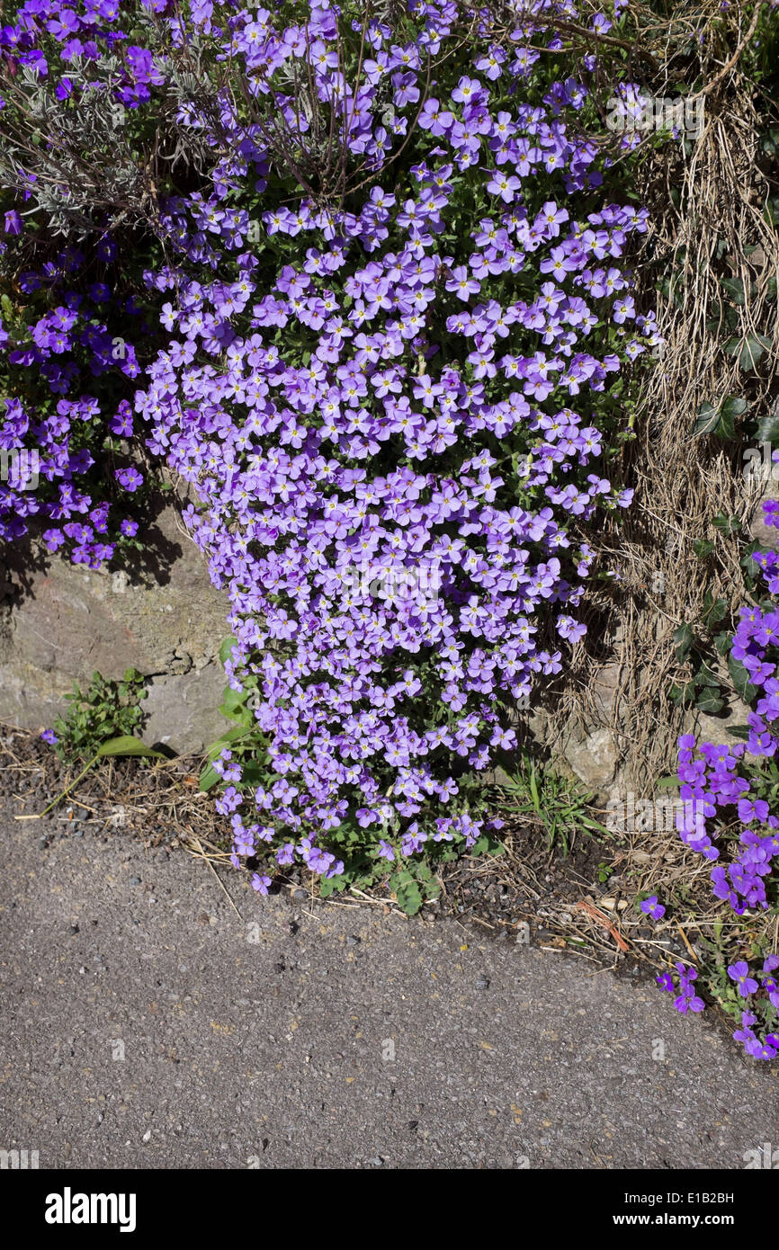 Pretty roadside gardens hi-res stock photography and images - Alamy